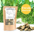 EidolonGreen dried bitter melon benefits