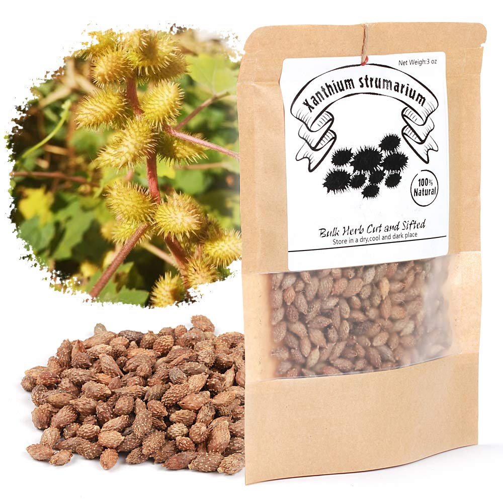 EidolonGreen dried Xanthium pods for herbal tea