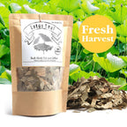 EidolonGreen tea for digestive health
