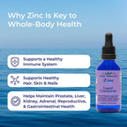 Eidon zinc for better absorption