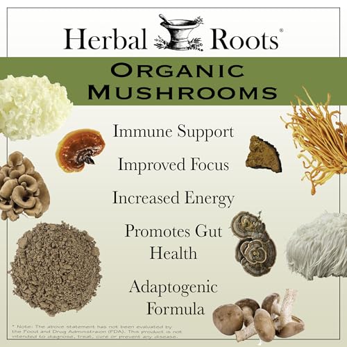 eight mushroom blend for wellness