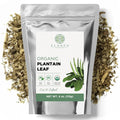 Elanden Naturals organic plantain leaf tea