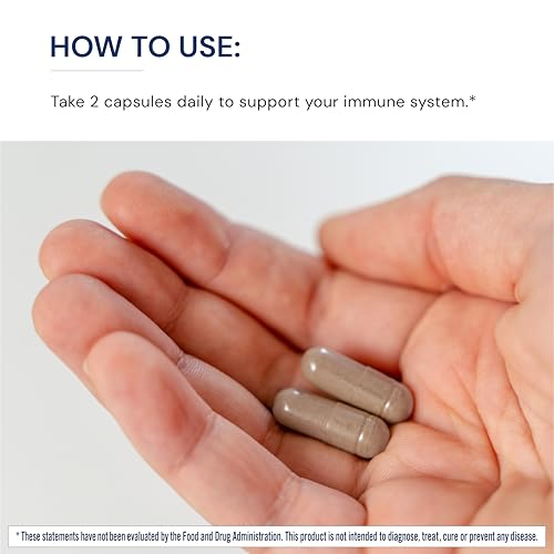 Elderberry and astragalus for seasonal health