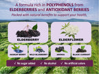 Elderberry and blueberry health blend