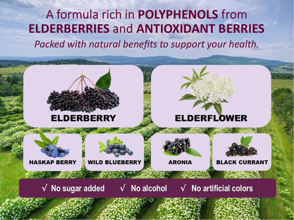 Elderberry and blueberry health blend