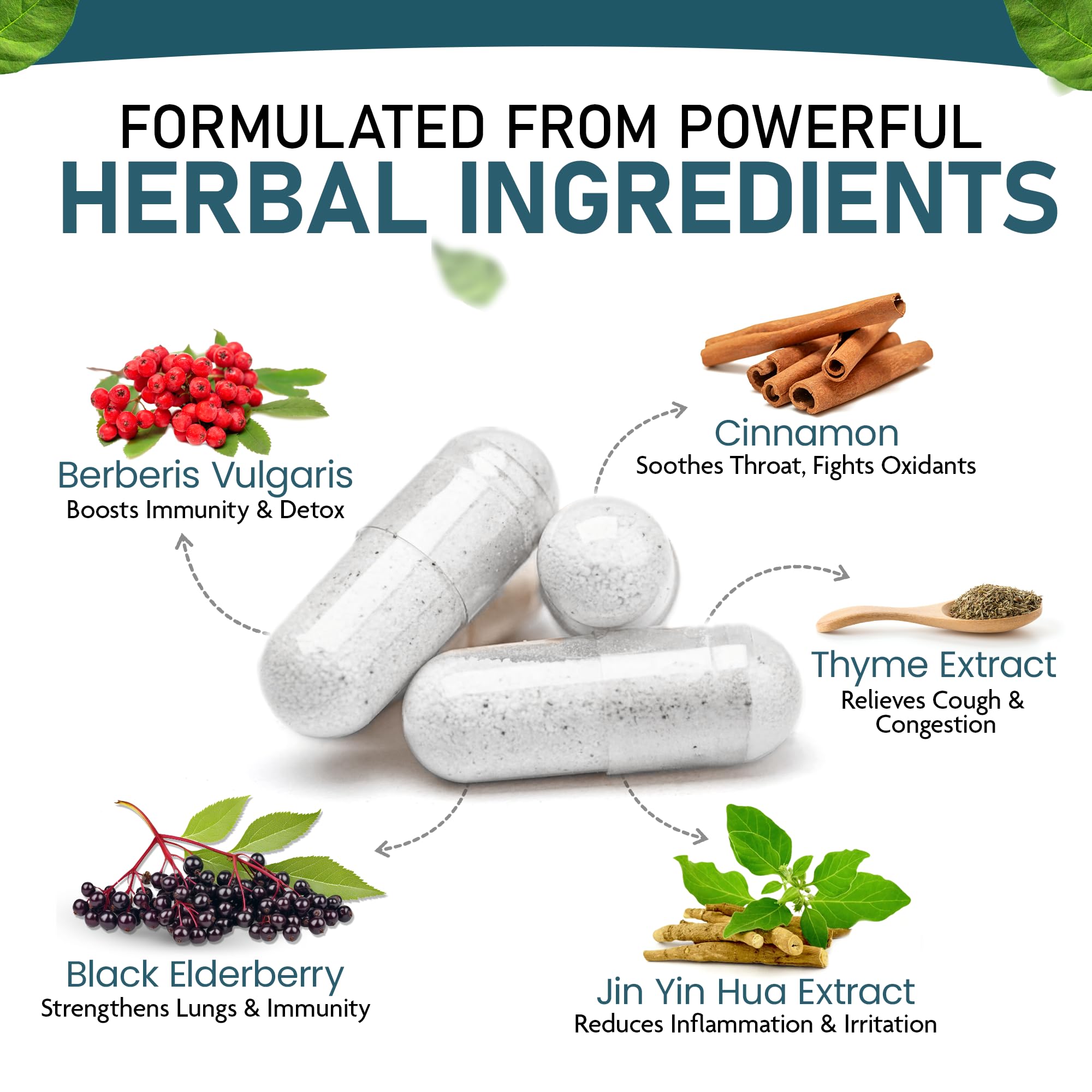Elderberry and cinnamon immune support