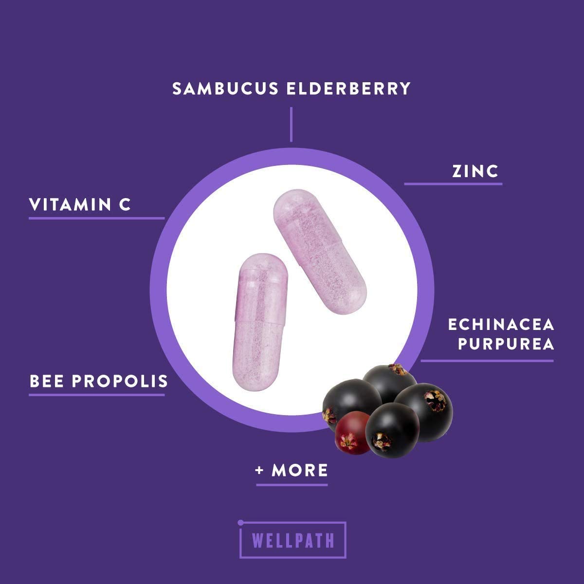 Elderberry and echinacea for better health