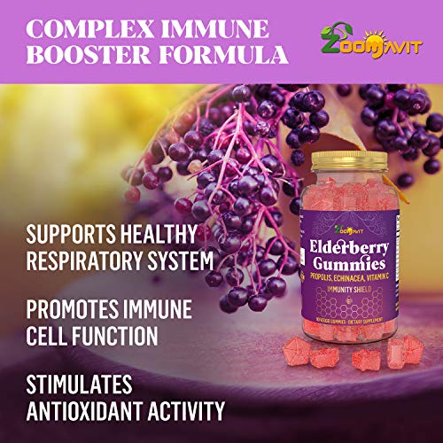 Elderberry and echinacea immune boost