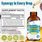 Elderberry and echinacea immune support