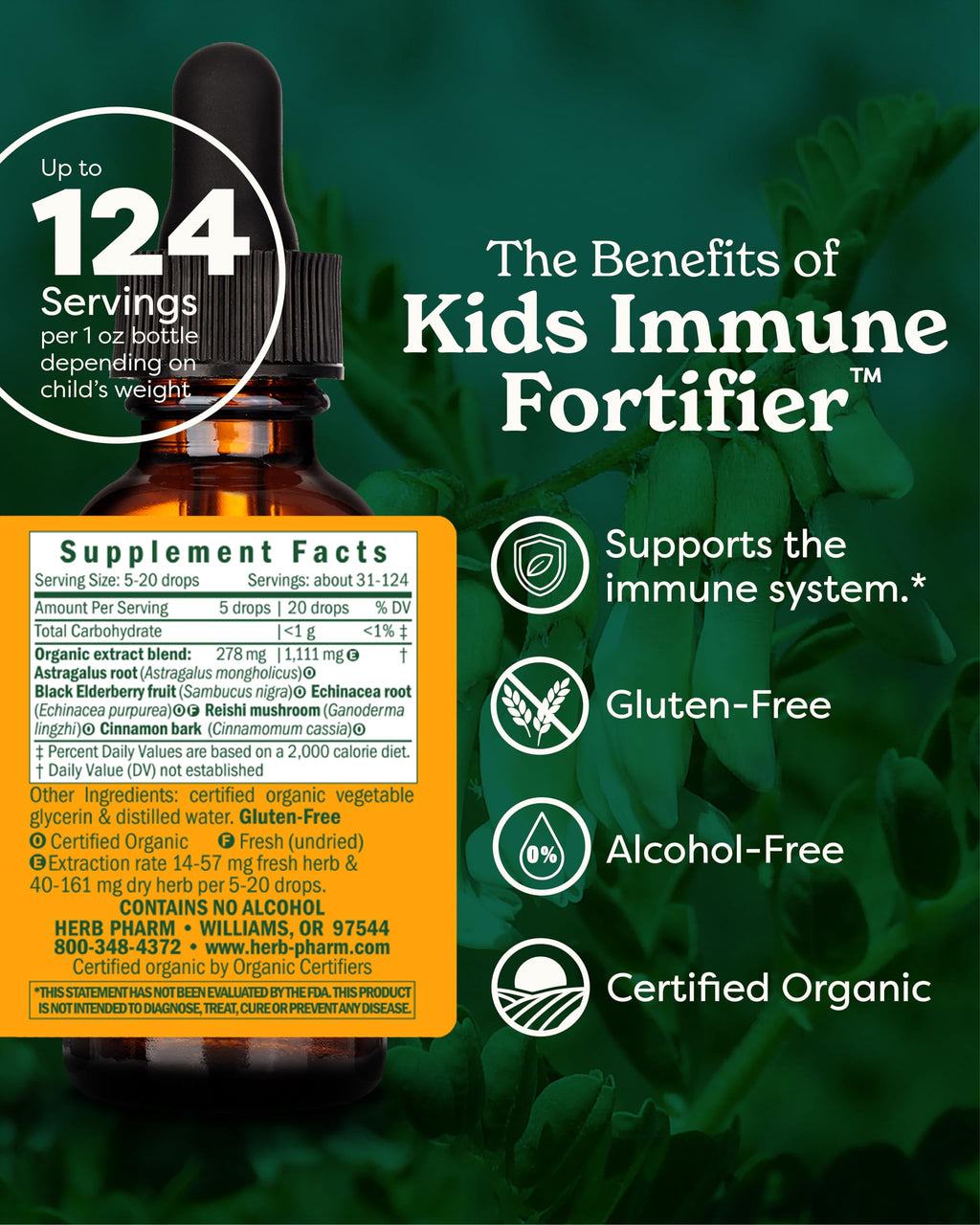 Elderberry and echinacea immunity booster