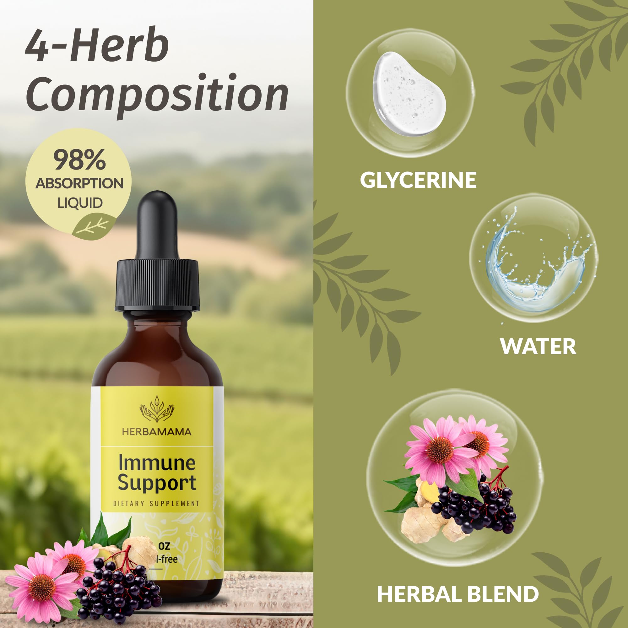 elderberry and echinacea liquid formula