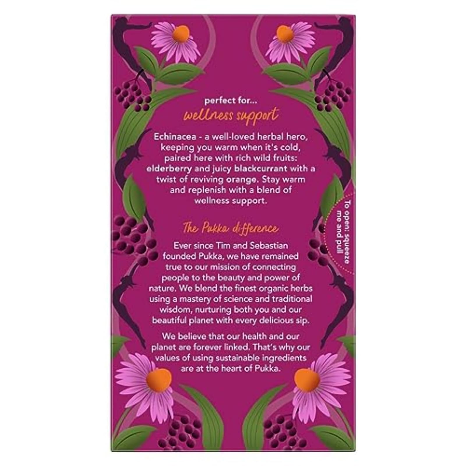 Elderberry and echinacea tea bags