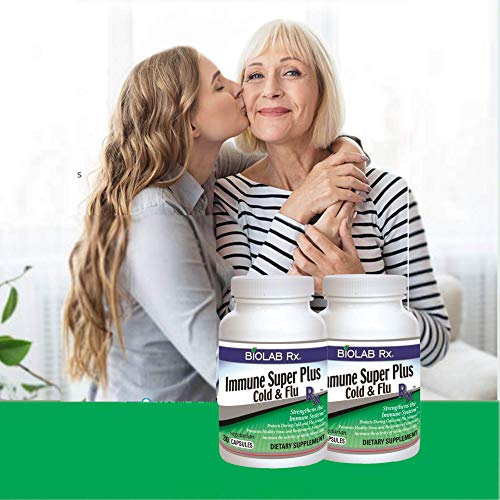 elderberry and mushroom blend benefits
