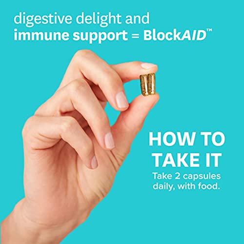 elderberry and probiotics for digestive balance