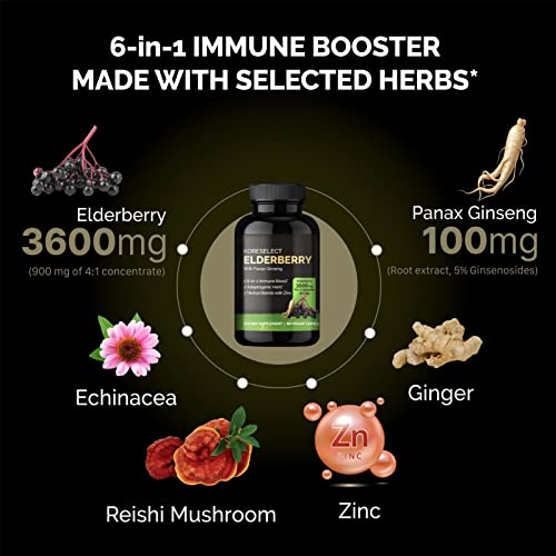 Elderberry and reishi mushroom capsules