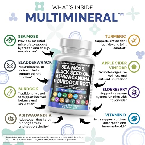 Elderberry and turmeric immune support