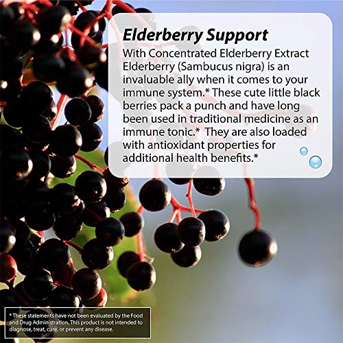 Elderberry and vitamin C combo
