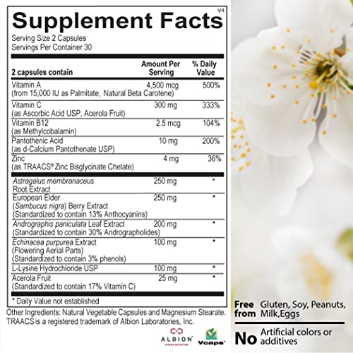 Elderberry and zinc for better health