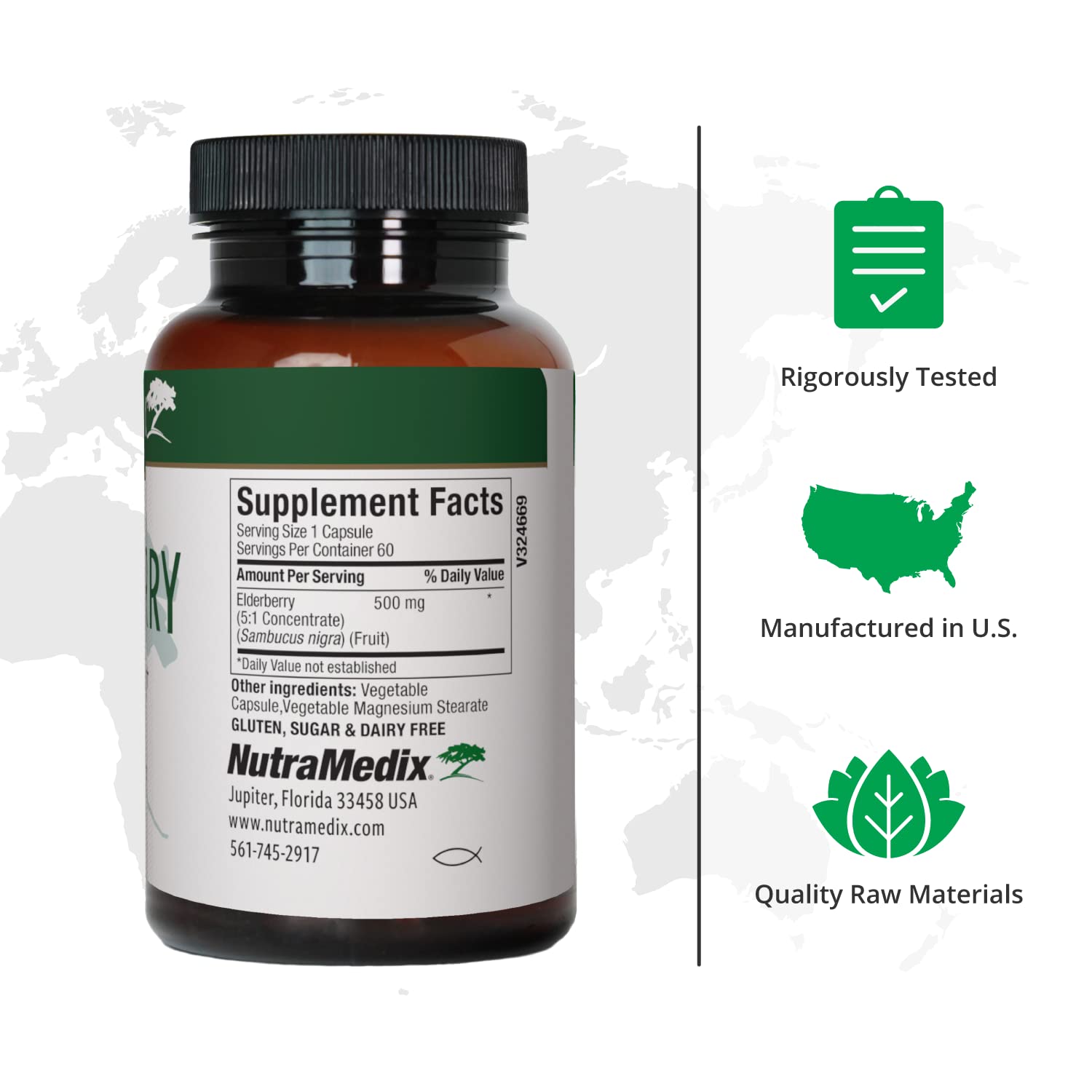 elderberry antioxidant support for wellness