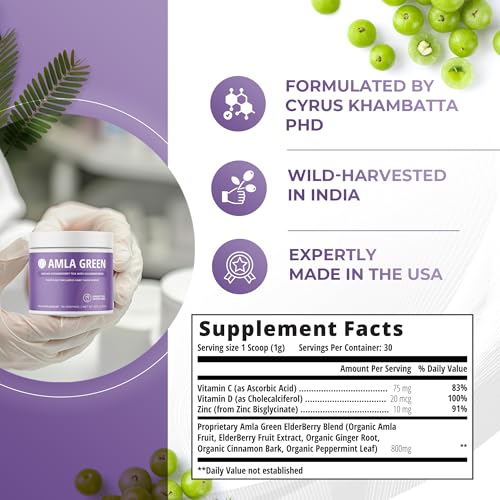 Elderberry blend for wellness