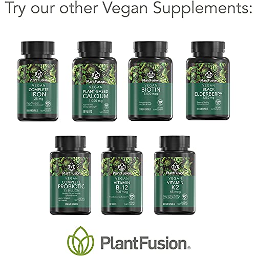 Elderberry capsules for a healthy lifestyle