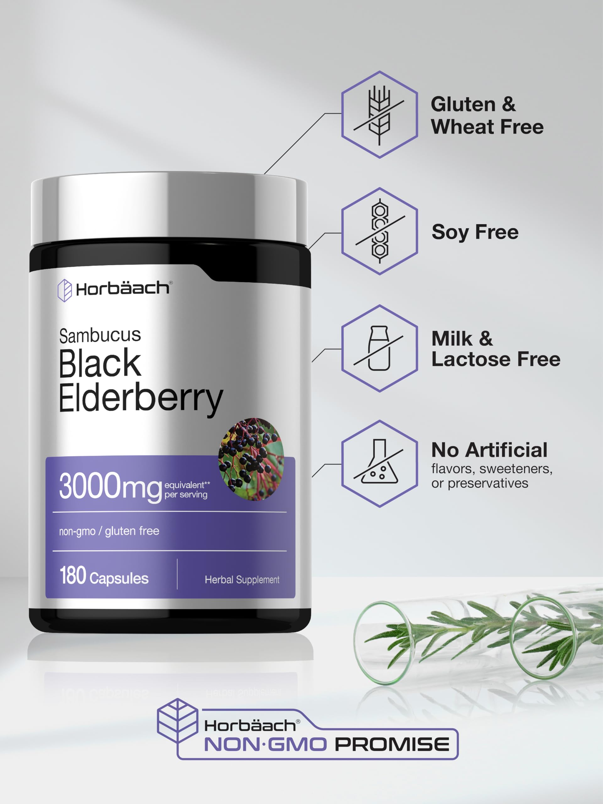 Elderberry capsules for cold and flu season