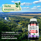 elderberry capsules for cold relief