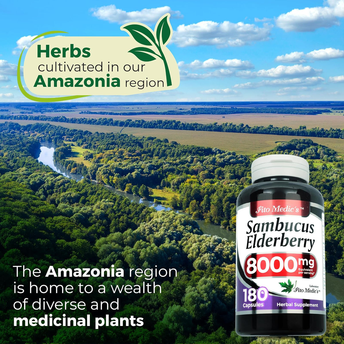 elderberry capsules for cold relief