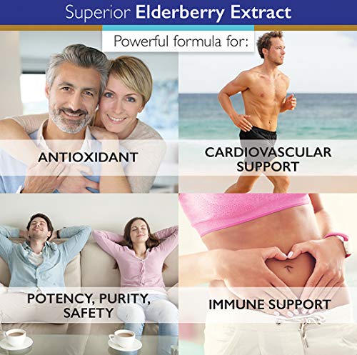 elderberry capsules for daily health
