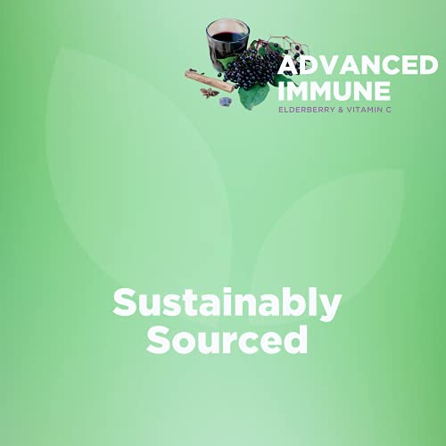elderberry capsules for daily immune boost