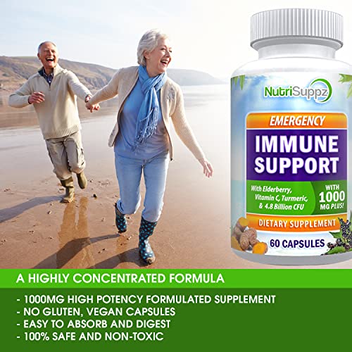 Elderberry capsules for daily nutrition