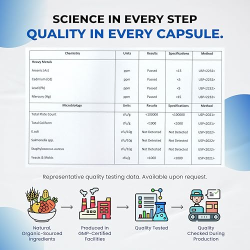 elderberry capsules for daily nutrition