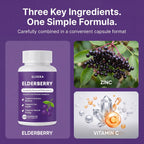 Elderberry capsules for daily vitality