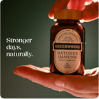 Elderberry capsules for daily wellness