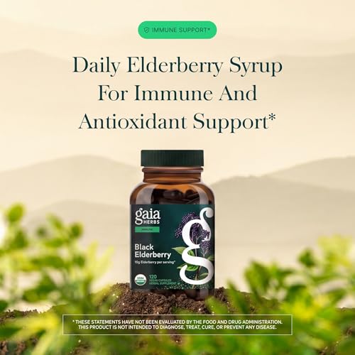elderberry capsules for everyday health