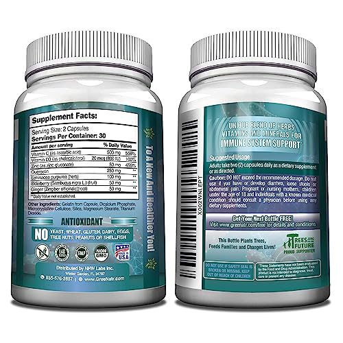 elderberry capsules for everyday health