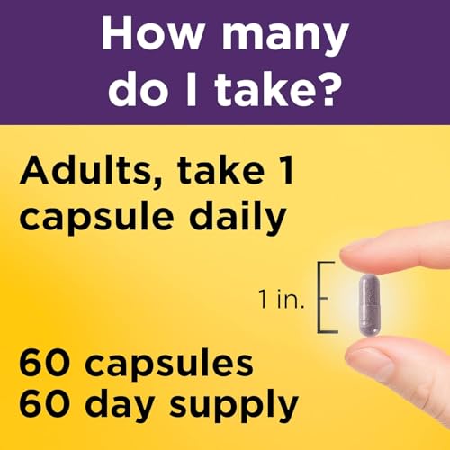 Elderberry capsules for everyday use