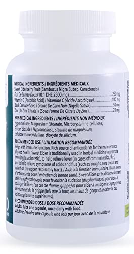 Elderberry capsules for everyday vitality
