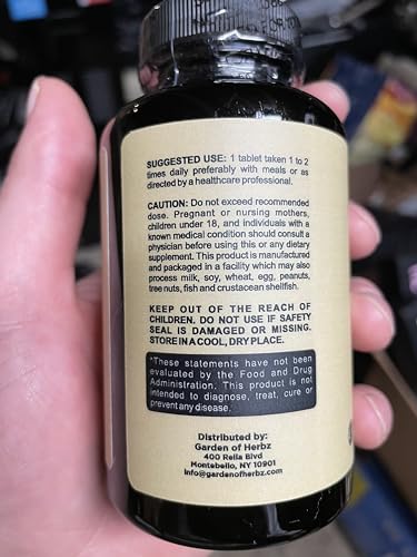 Elderberry capsules for everyday wellness