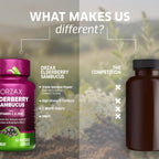 elderberry capsules for family wellness