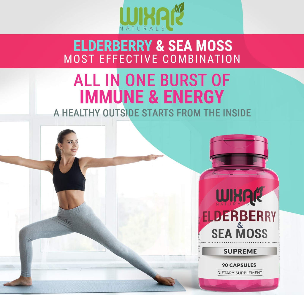 elderberry capsules for holistic health