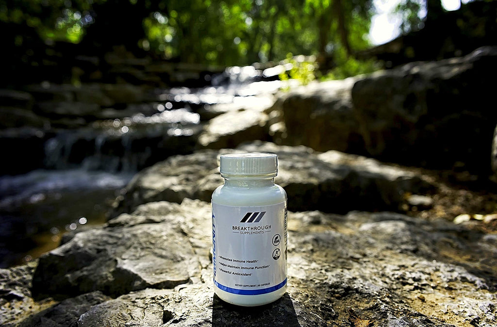 elderberry capsules for holistic wellness