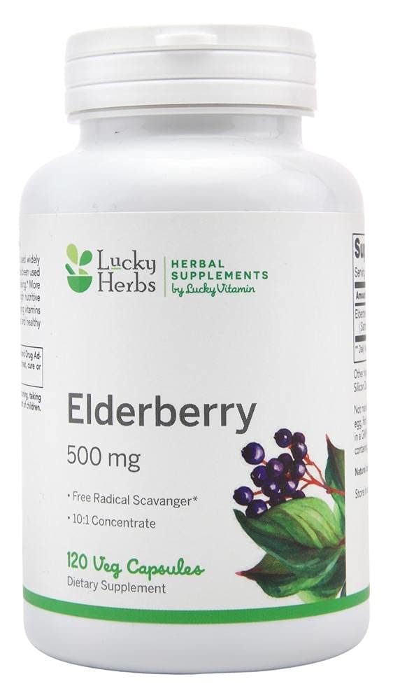 Elderberry capsules for immune support