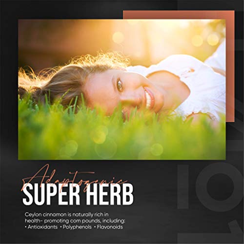 Elderberry capsules for overall wellness