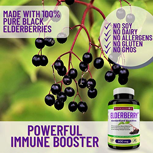 Elderberry capsules for overall wellness