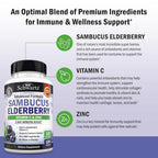 Elderberry capsules for seasonal health