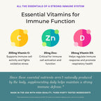 elderberry capsules for seasonal health