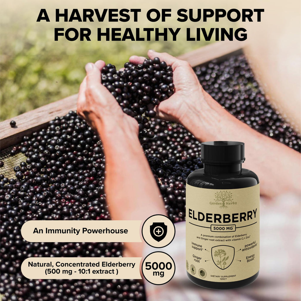 Elderberry capsules for seasonal support