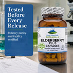elderberry capsules for seasonal support
