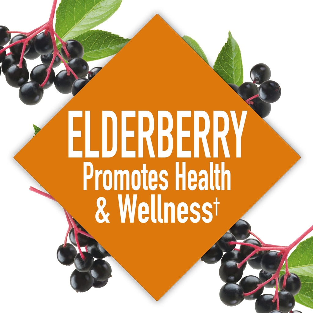 elderberry capsules for seasonal support